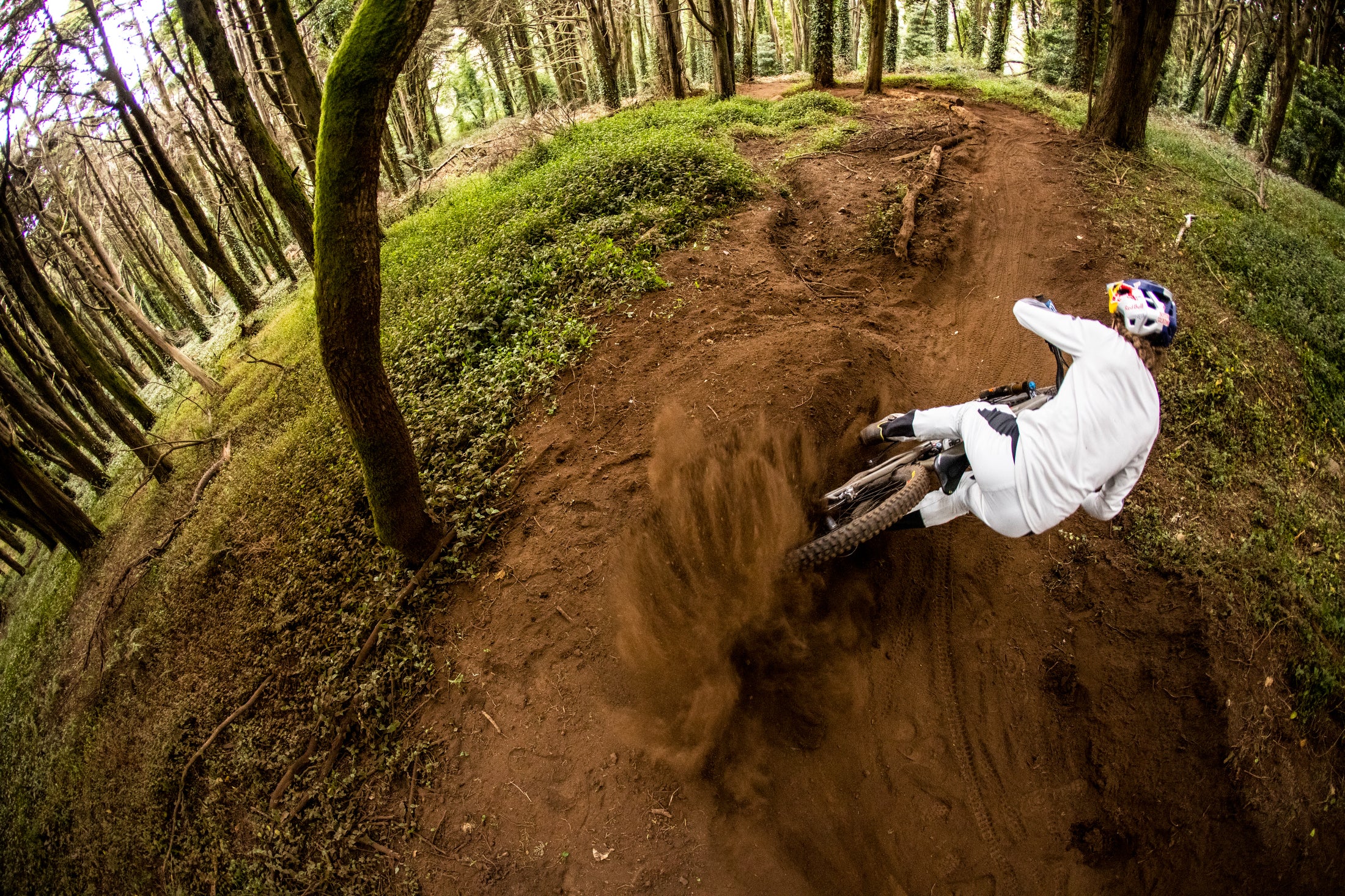 Megatower – SCB Factory Store